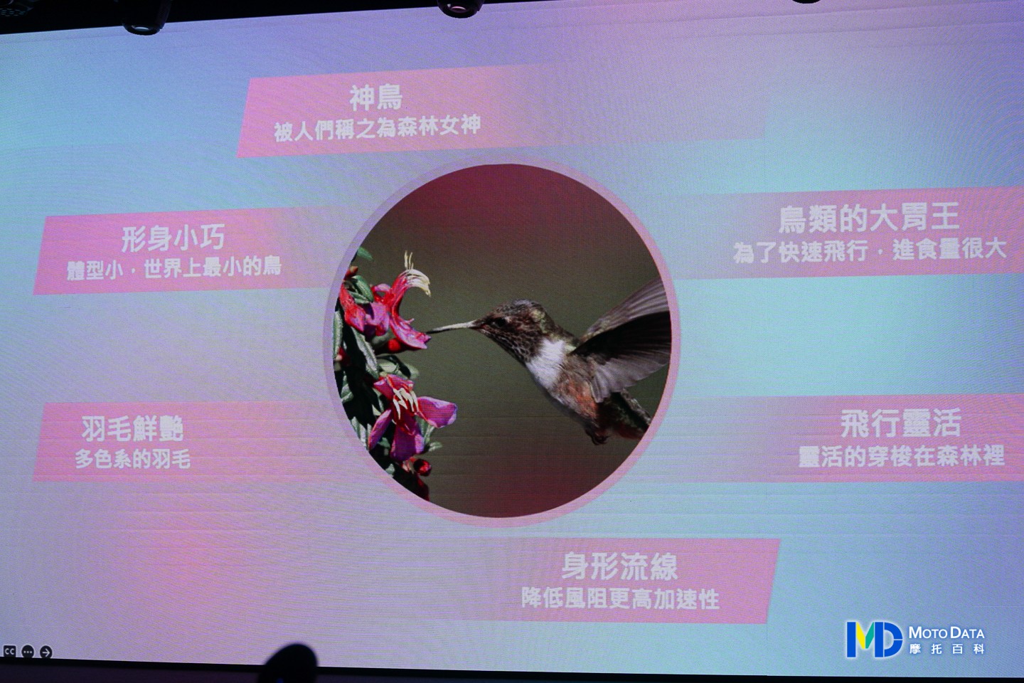 【現場採訪】為妳並懂妳！sym 全新 Clbcu 正式發表！ Motodata 摩托百科